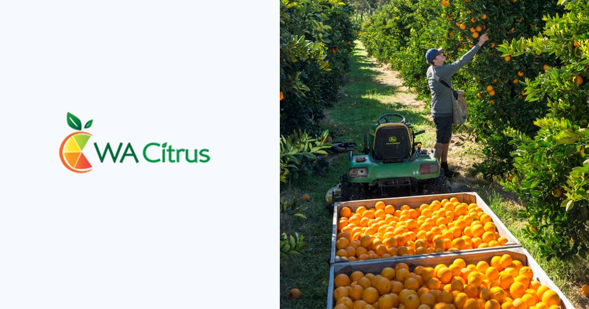 Season and Varieties - WA Citrus